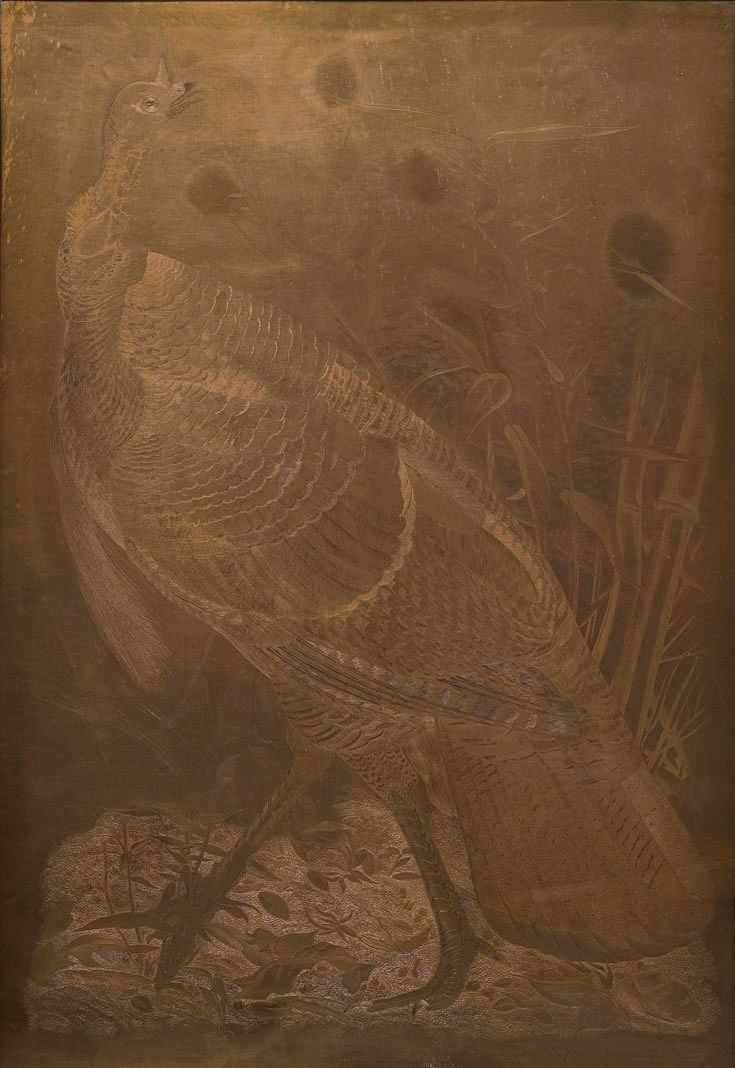 Just in Time for Thanksgiving: A New Audubon Exhibit With the Gallant ...