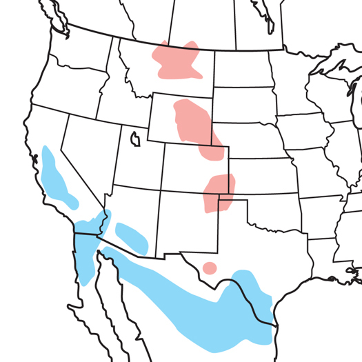 Mountain Plover | Audubon Field Guide