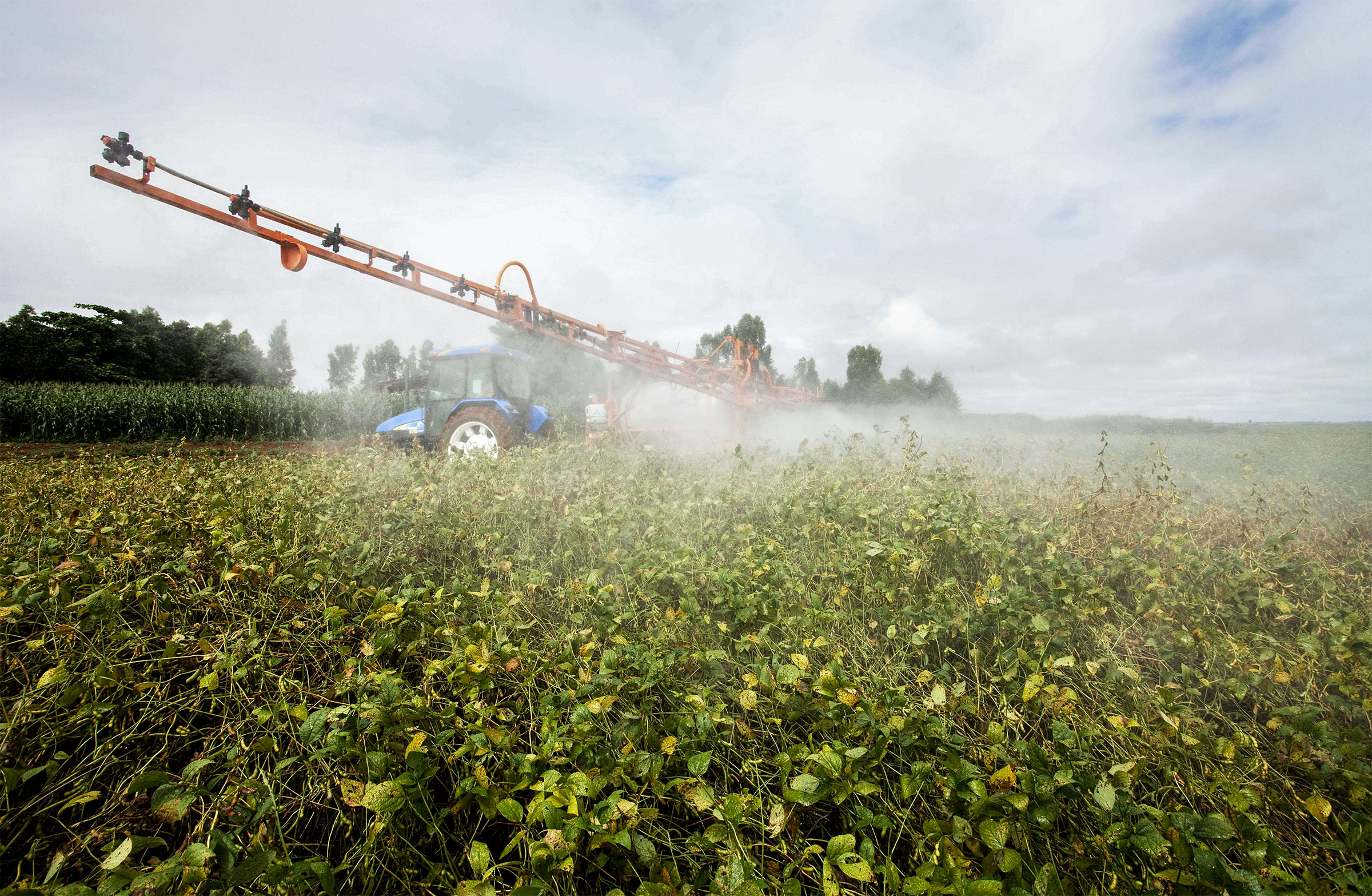 EPA Approval of Controversial Pesticide Raises Concerns for Bees and ...