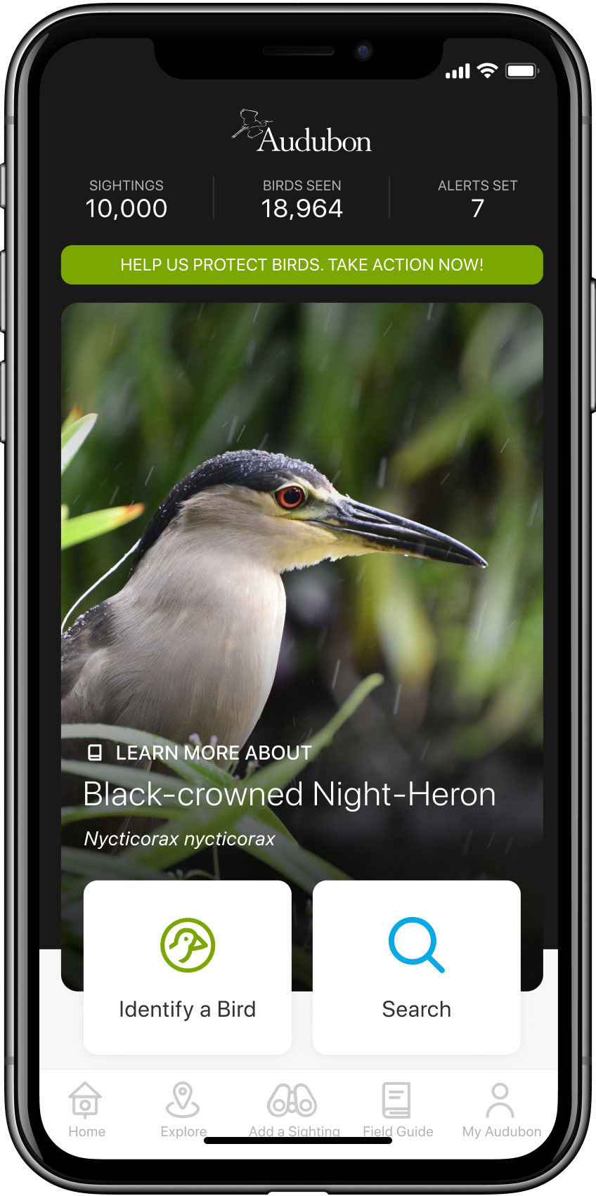 Audubon Bird Guide App Audubon Audubon Bird Guide App Audubon