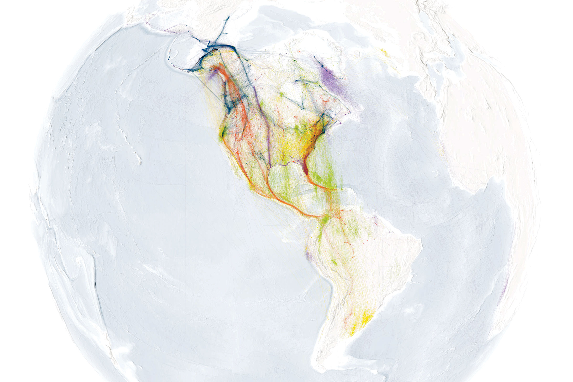 First-of-Its-Kind Digital Platform Reveals Migration Data for Birds ...