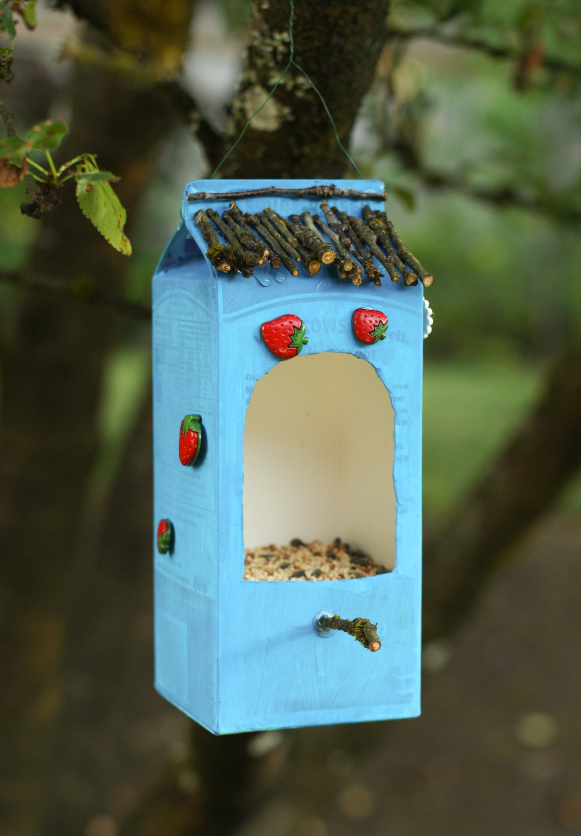 How To Make A DIY Bird Feeder From Recycled Materials Audubon