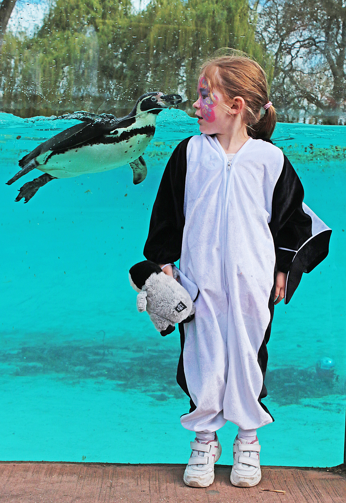 March of the Waddling Toddlers | Audubon