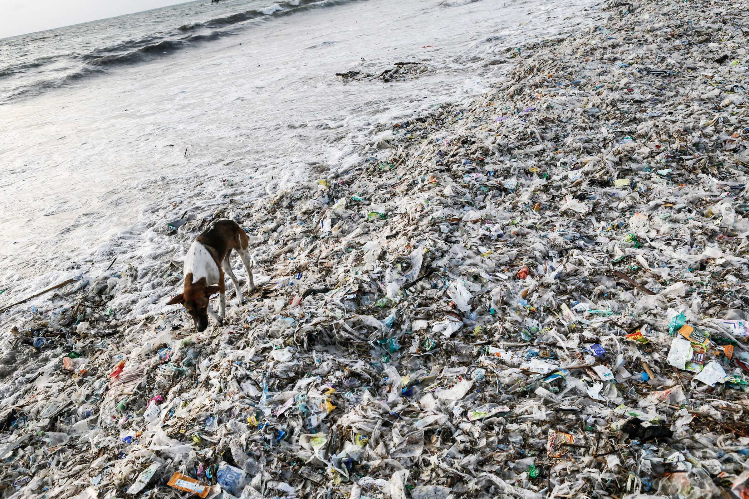 These 5 Countries Are the Biggest Plastic Polluters | Audubon
