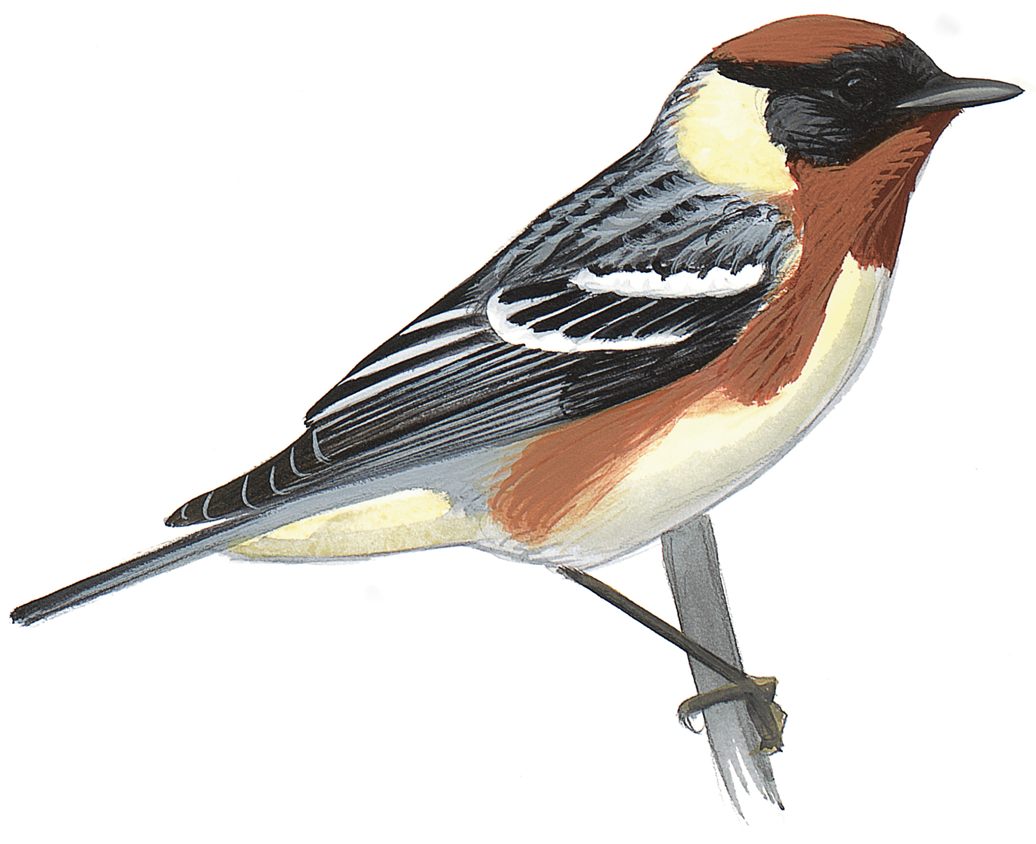 Minnesota's Newest Sports Stadiums Take Very Different Approaches to ...