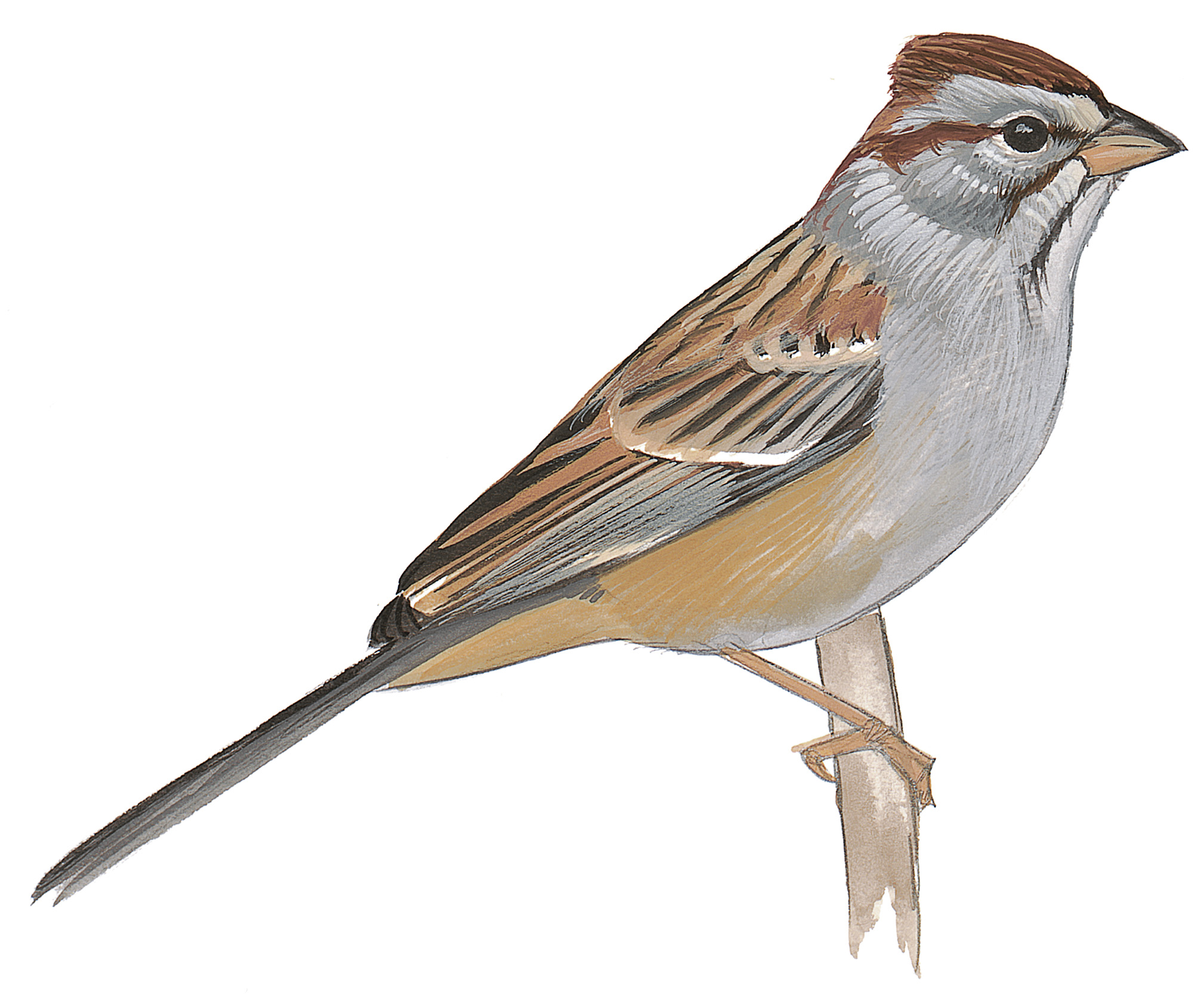 Get Outside | Audubon