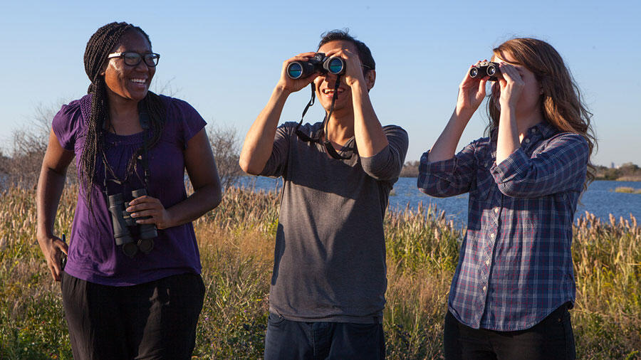 How To Start Birding | Audubon