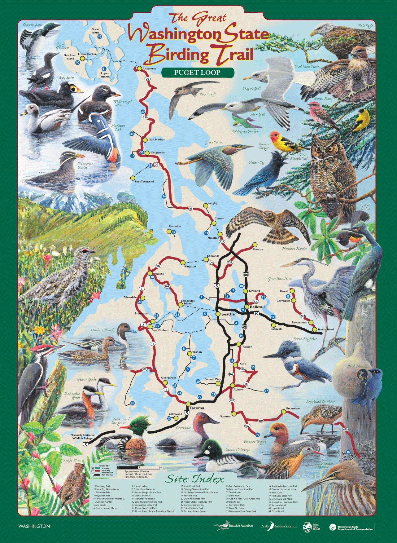 Parks Publication Highlights Newest Birding Trail Map | Audubon