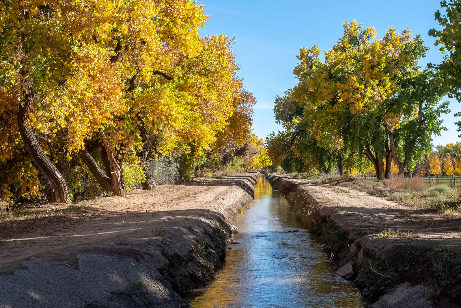 Climate Change Puts New Mexico’s Ancient Acequias to the Test | Audubon