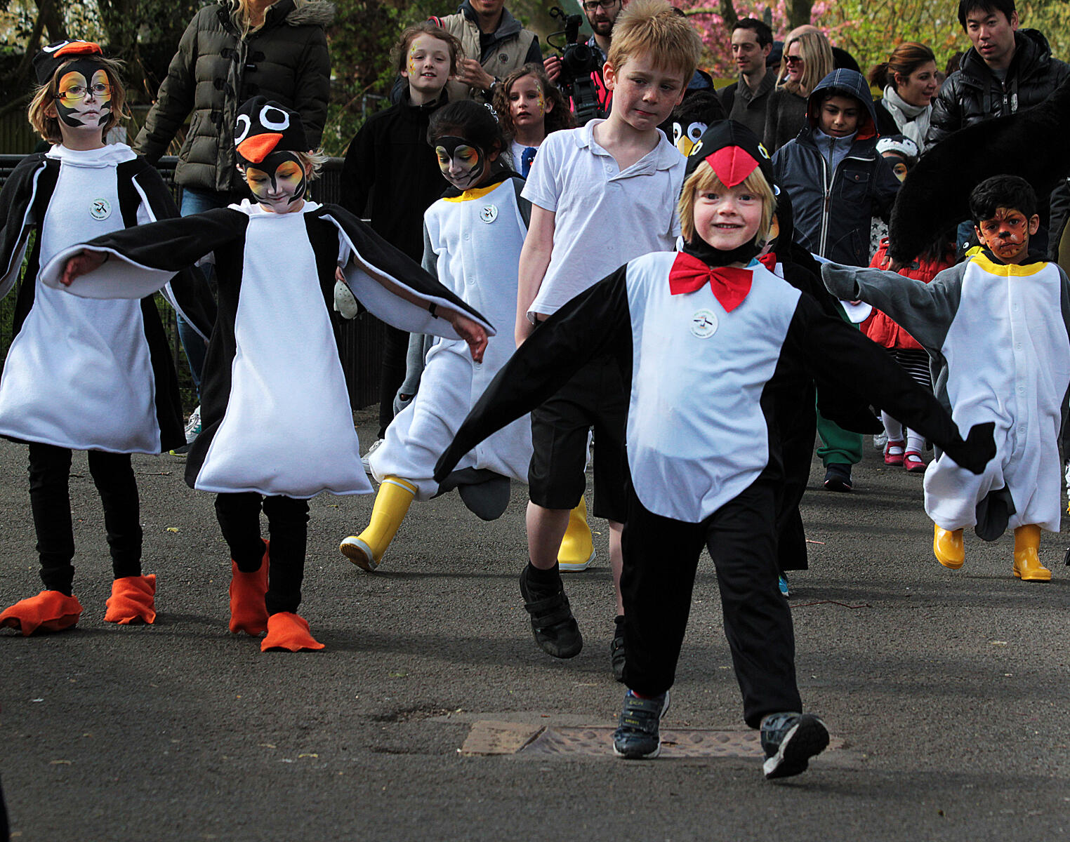 March of the Waddling Toddlers | Audubon