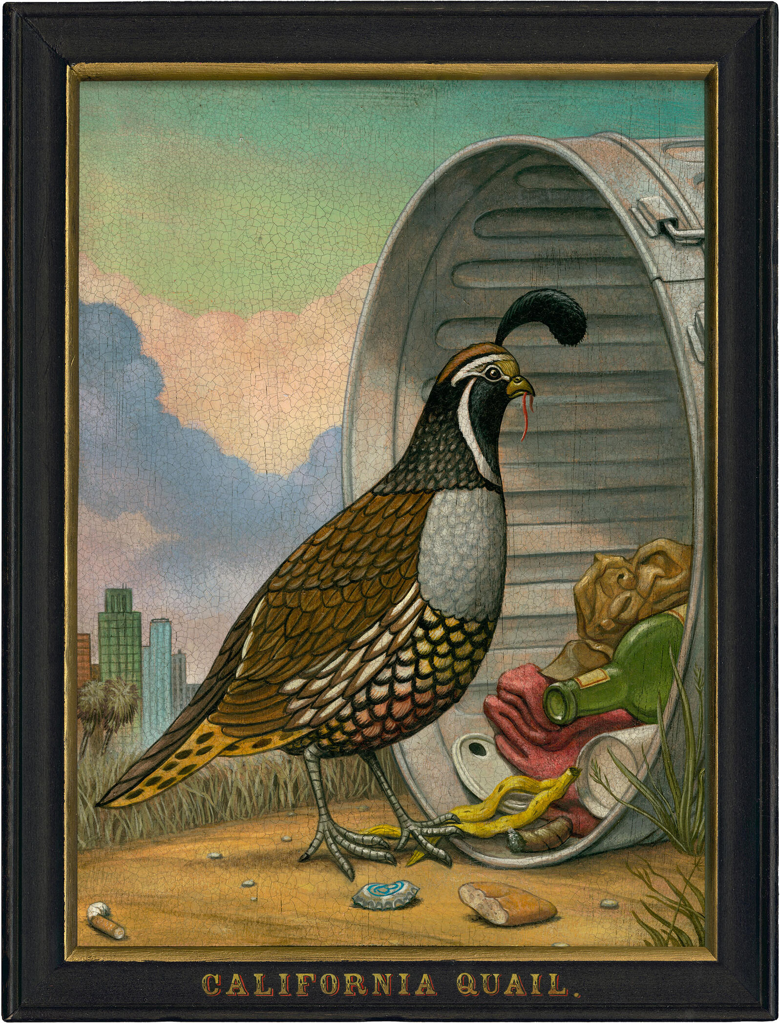 Reimagining the California Quail | Audubon
