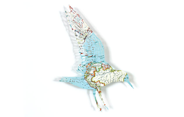 The Aviary | Audubon