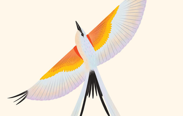 The Aviary | Audubon