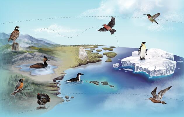Spring 2022 | Audubon