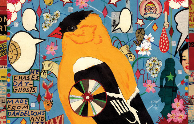 The Aviary | Audubon