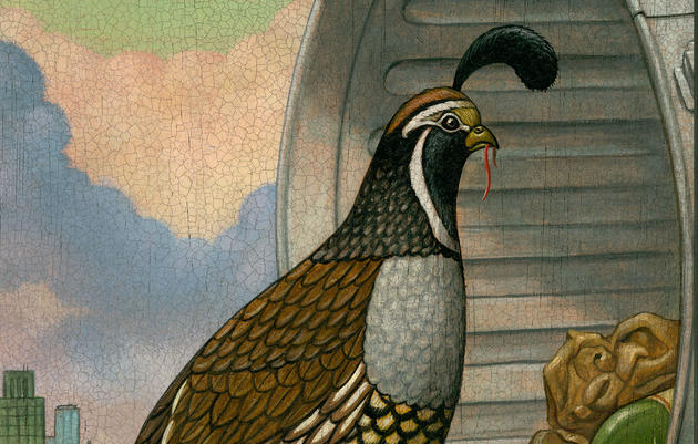 The Aviary | Audubon