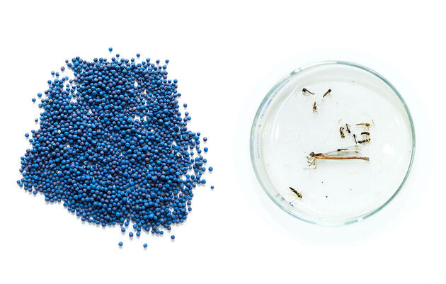 This Brutal Pesticide Creates a 'Circle of Death.' So Why Is It Making ...