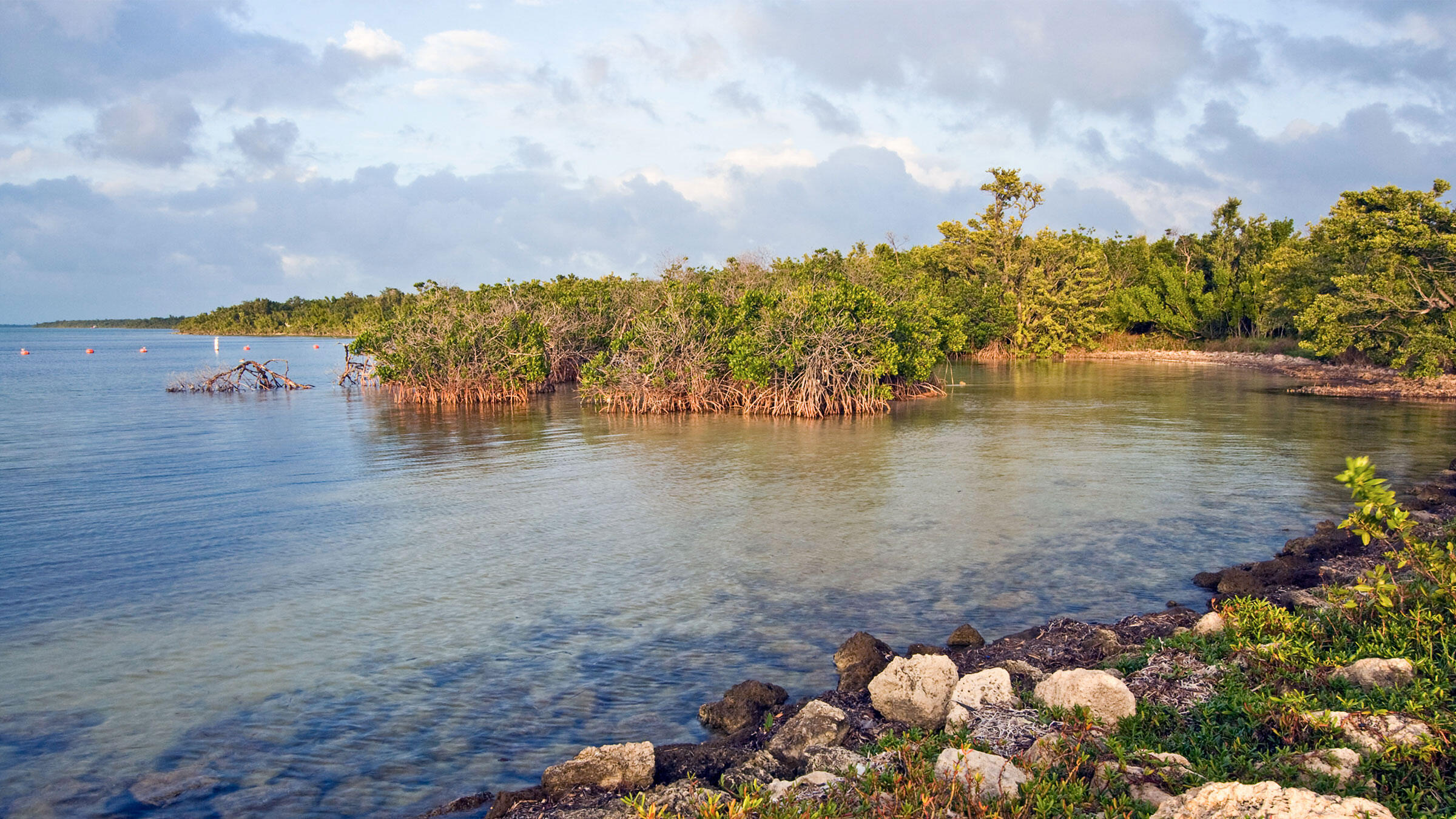 Biscayne National Park | Audubon