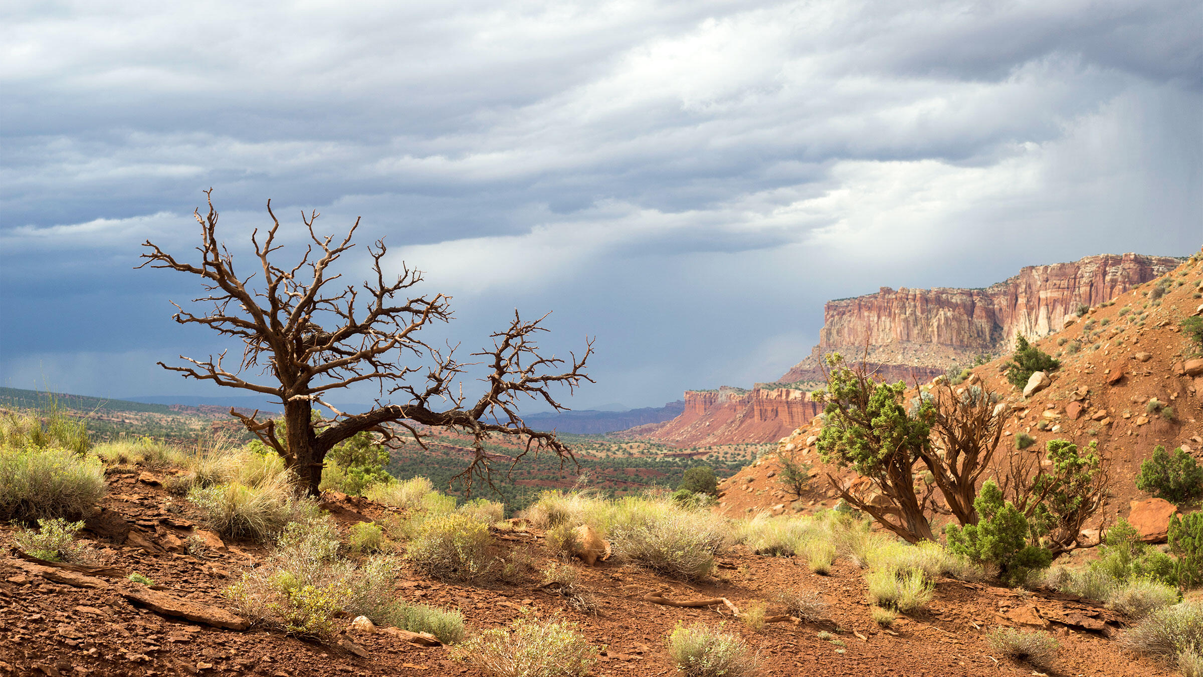 Capitol Reef National Park | Audubon