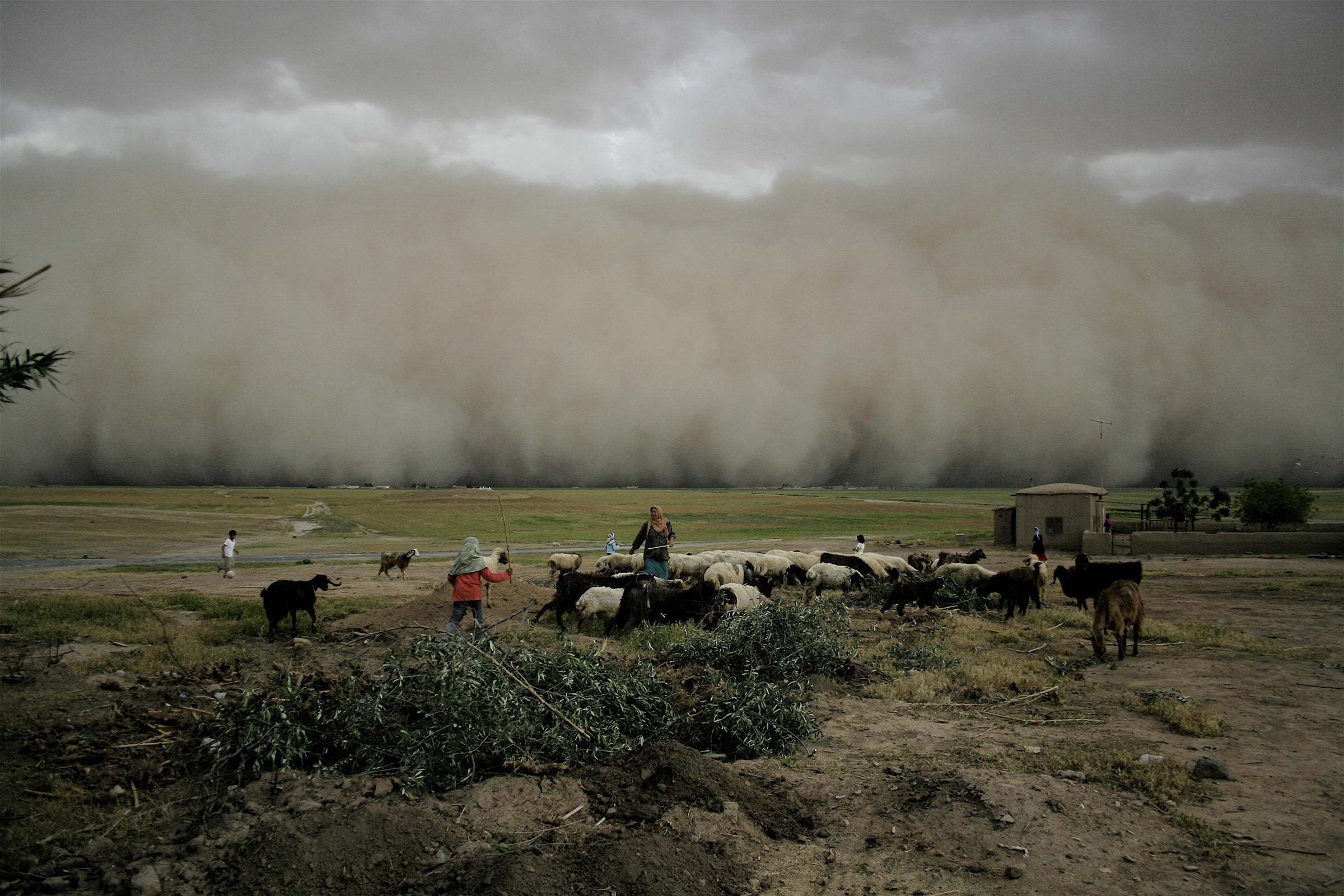 How Climate Change May Have Helped Spark the Syrian Civil War | Audubon