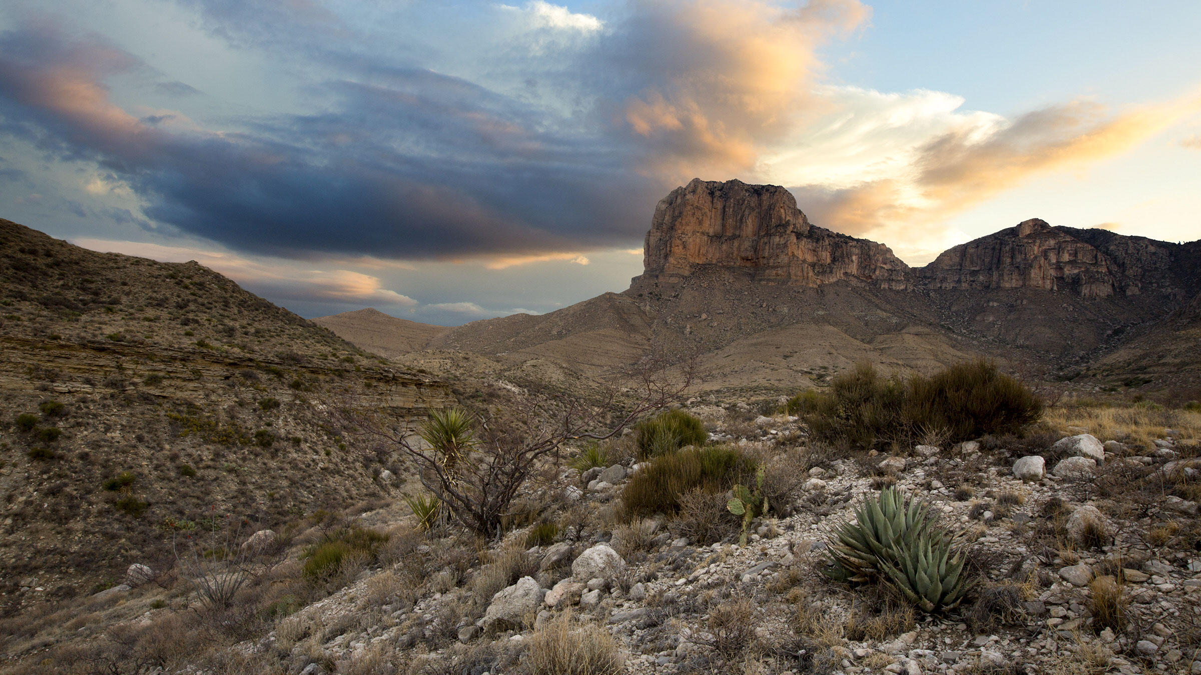 Guadalupe Mountains National Park | Audubon