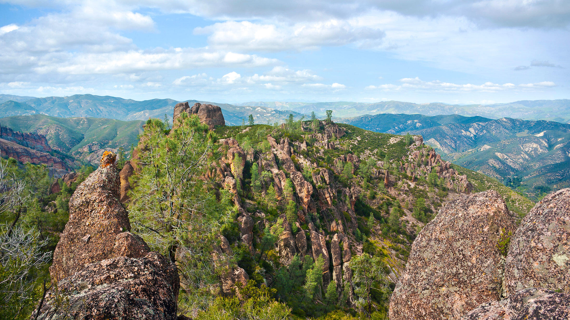 Pinnacles National Park | Audubon