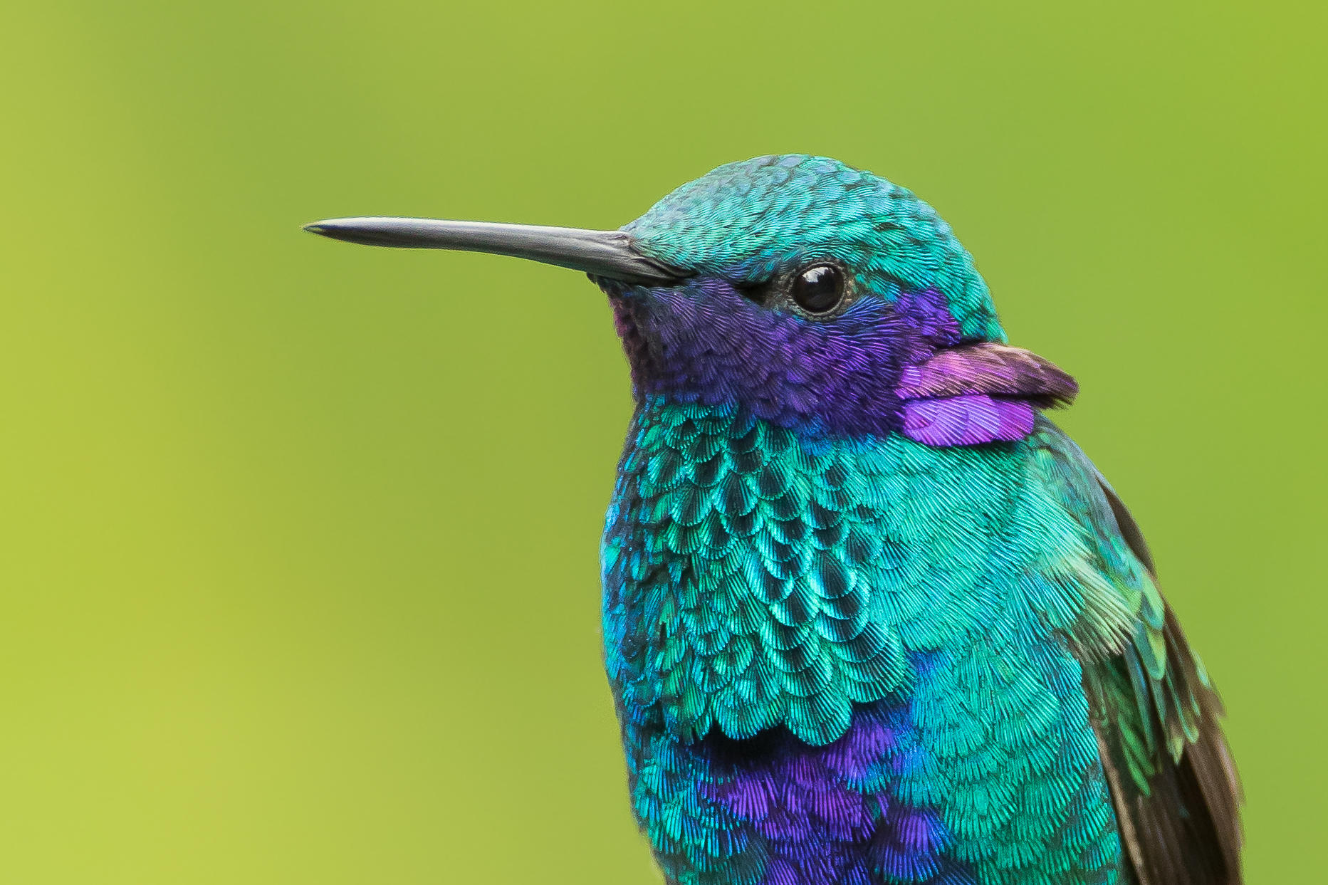 Conservation | Audubon