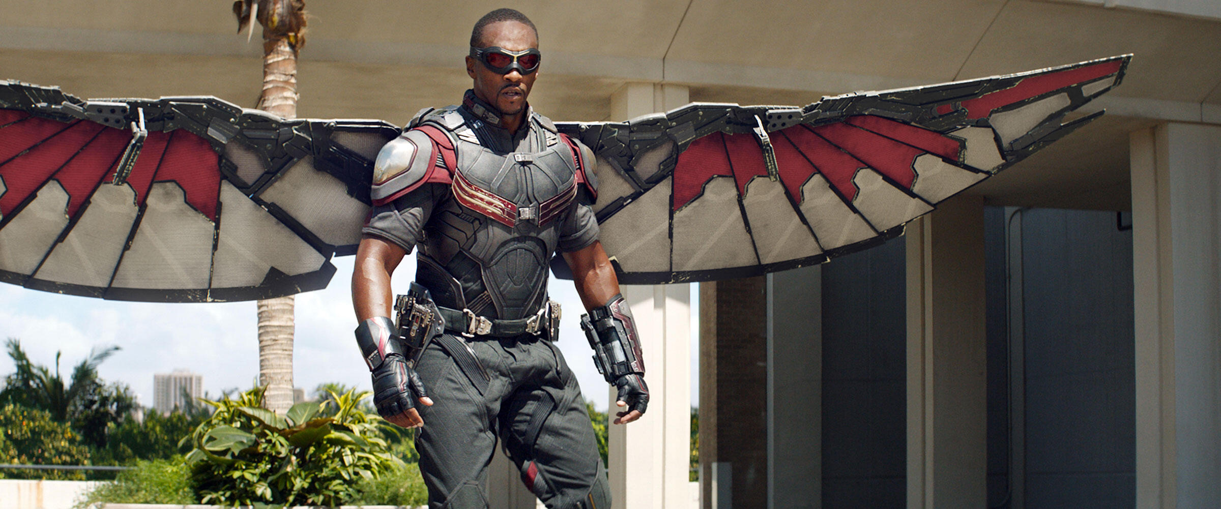 Bird Superheroes Deserve Better | Audubon