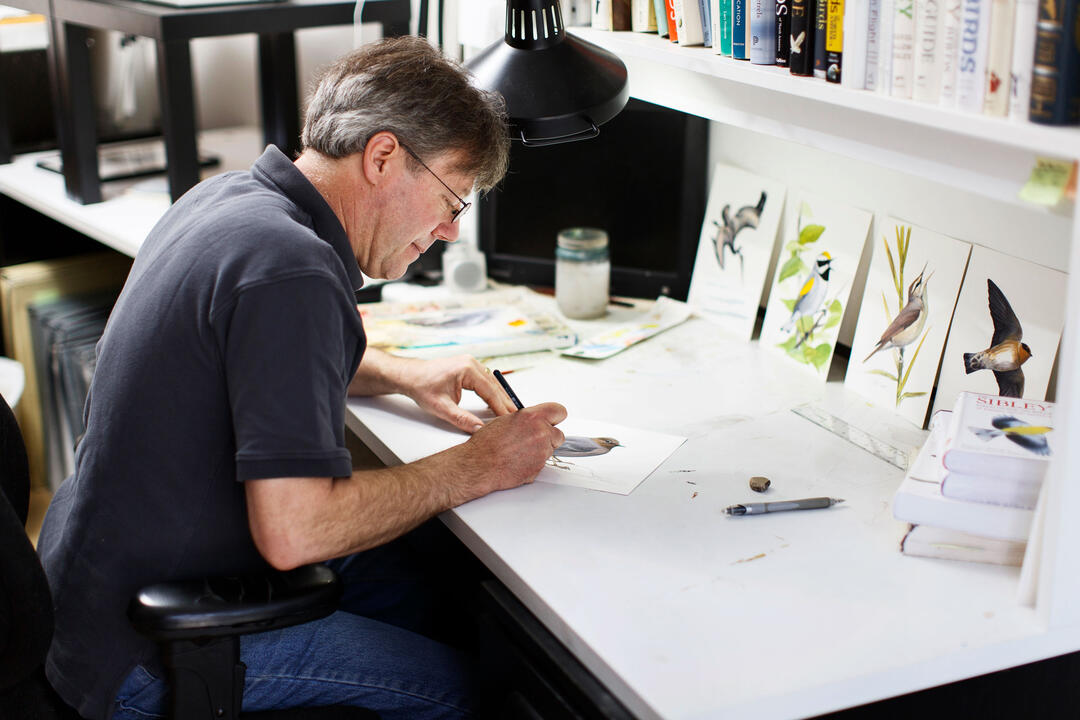 About David Allen Sibley | Audubon