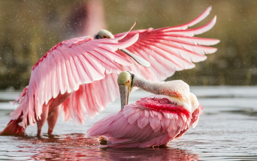 Biden Infrastructure Proposal Presents a Unique Opportunity for a ...