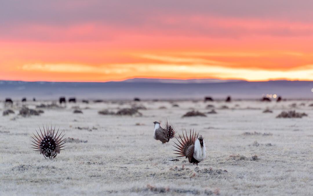 Infrastructure Funding Could Bring Hope to North America’s Largest ...