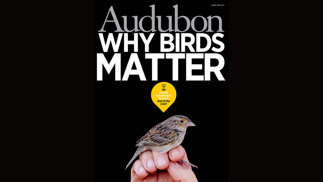 How Photos Can Save Endangered Species | Audubon