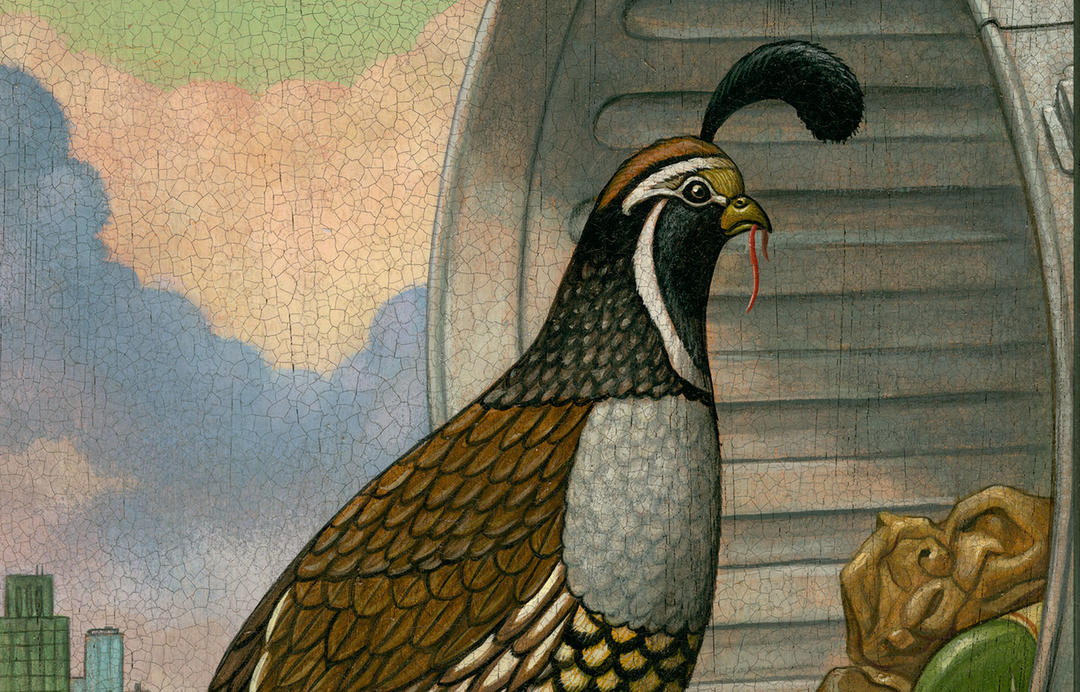 Reimagining the California Quail | Audubon
