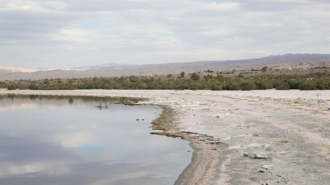 The Fate of the Salton Sea Is in Our Hands | Audubon