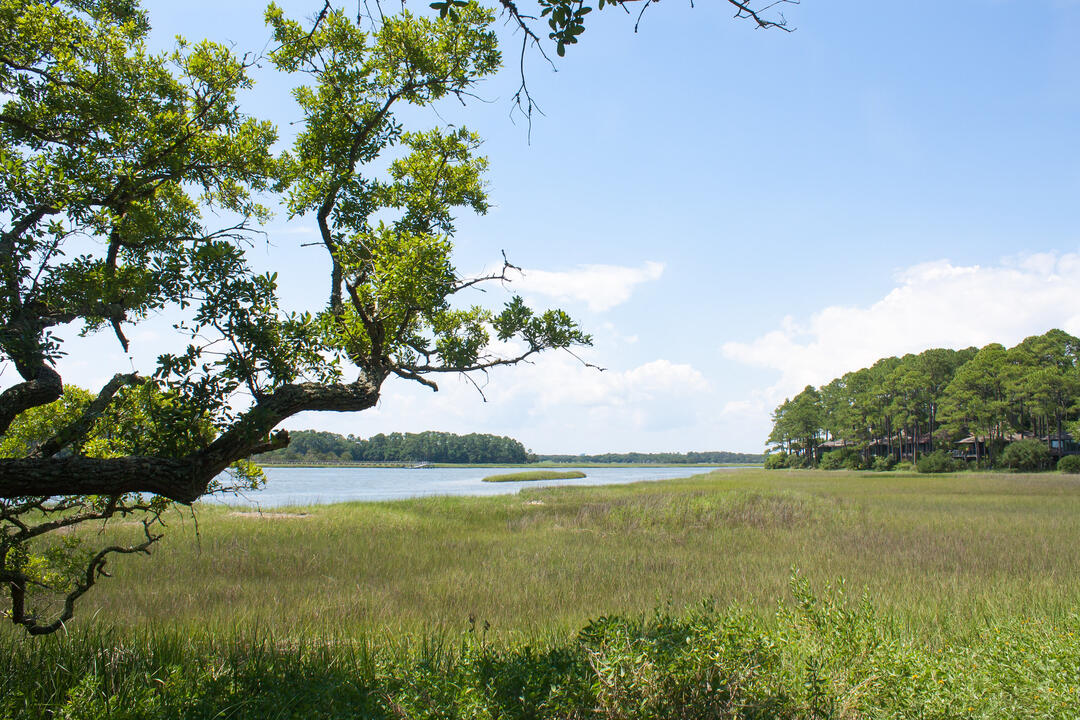 What We Lose When We Forget the History of Our Public Lands | Audubon