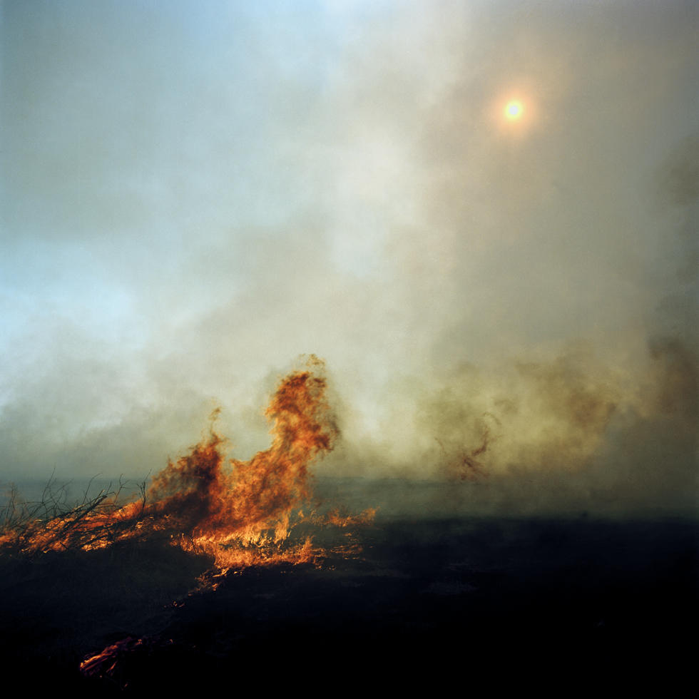 The Perfect Firestorm | Audubon