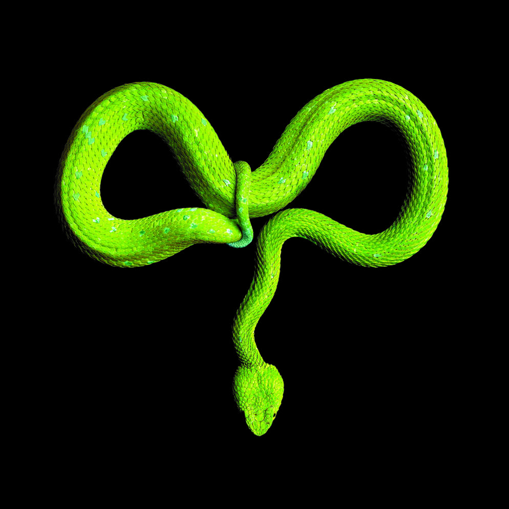 Serpentine | Audubon