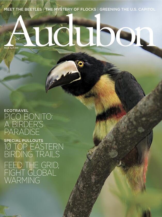 March-April 2009 | Audubon