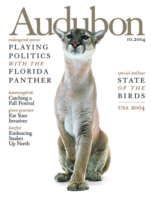 September-October 2004 | Audubon