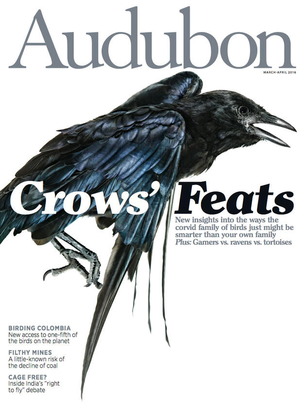 March - April 2016 | Audubon