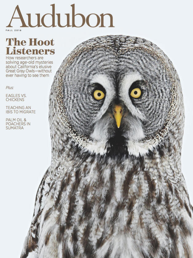 Fall 2016 | Audubon