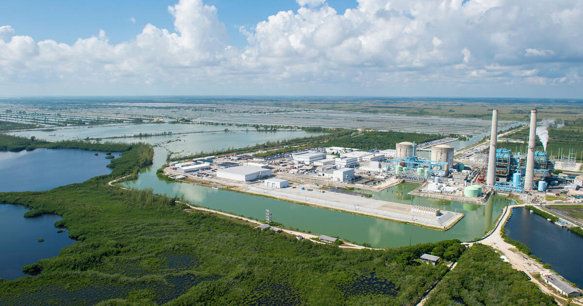 Tensions Rise As Florida’s Fresh Water Grows Scarcer | Audubon