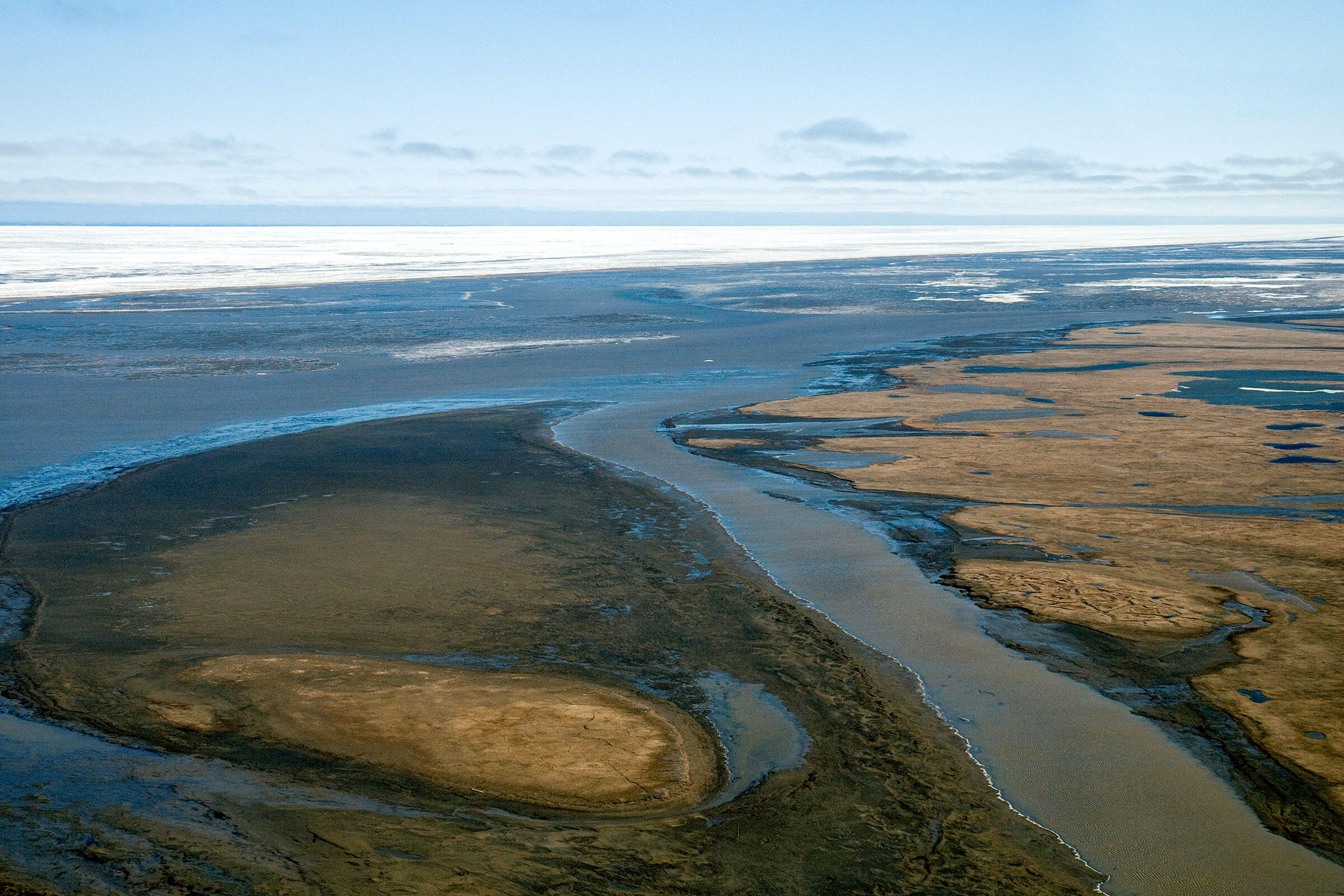 In Alaska, Starving Seabirds and Empty Colonies Signal a Broken ...
