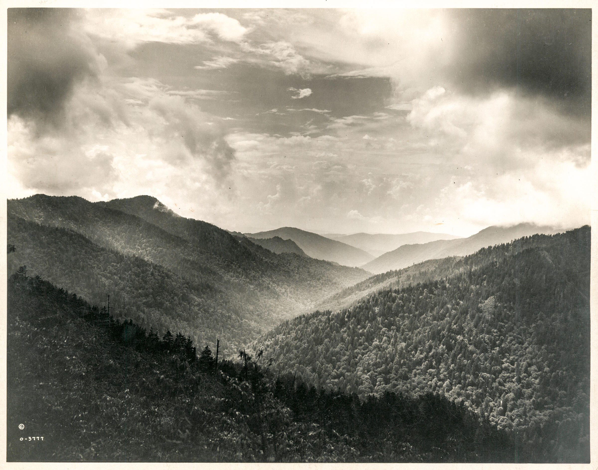 Meet George Masa, the Photographer Whose Work Helped Protect the Great ...