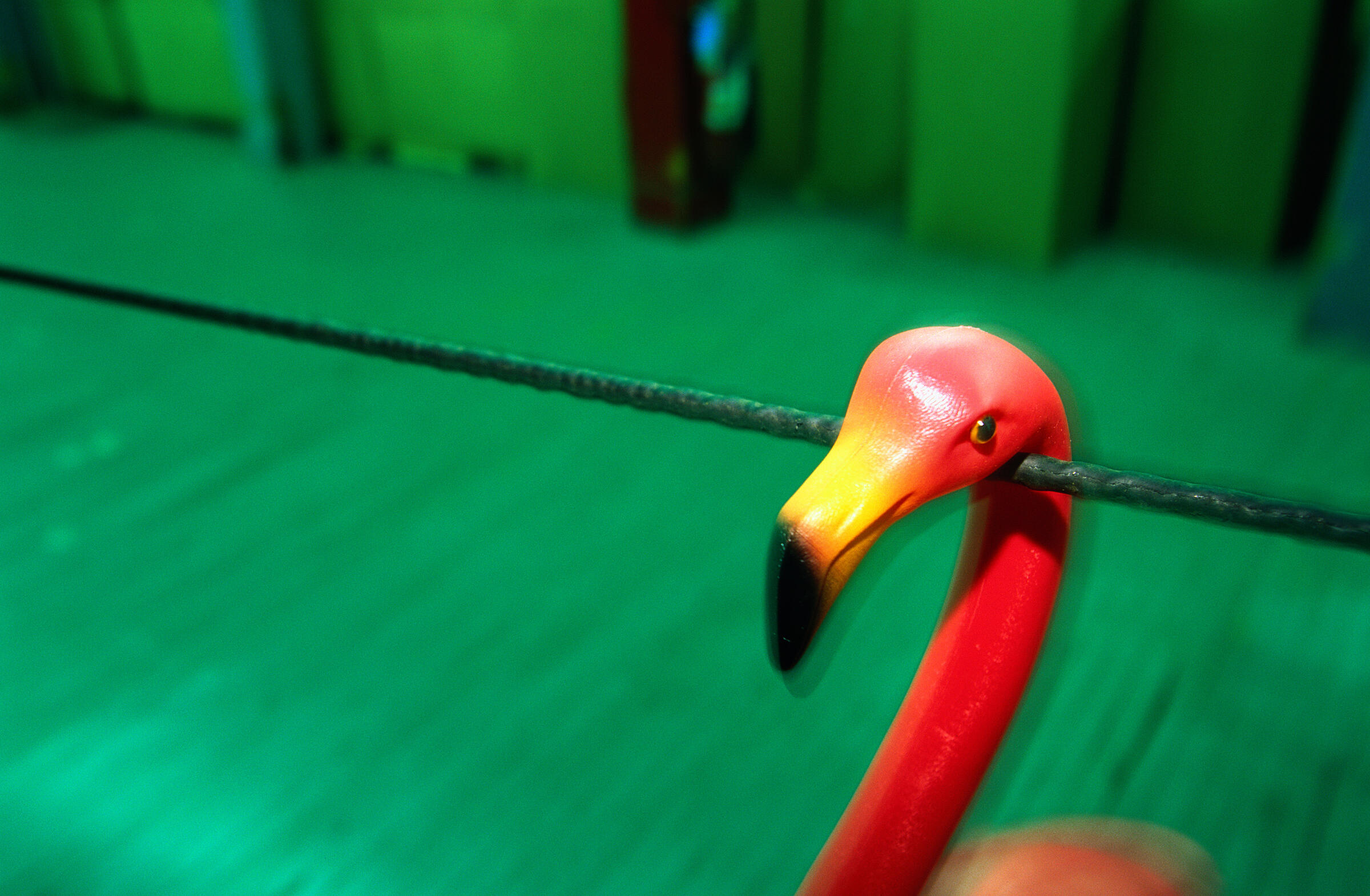 RIP Donald Featherstone, Plastic Flamingo Inventor | Audubon