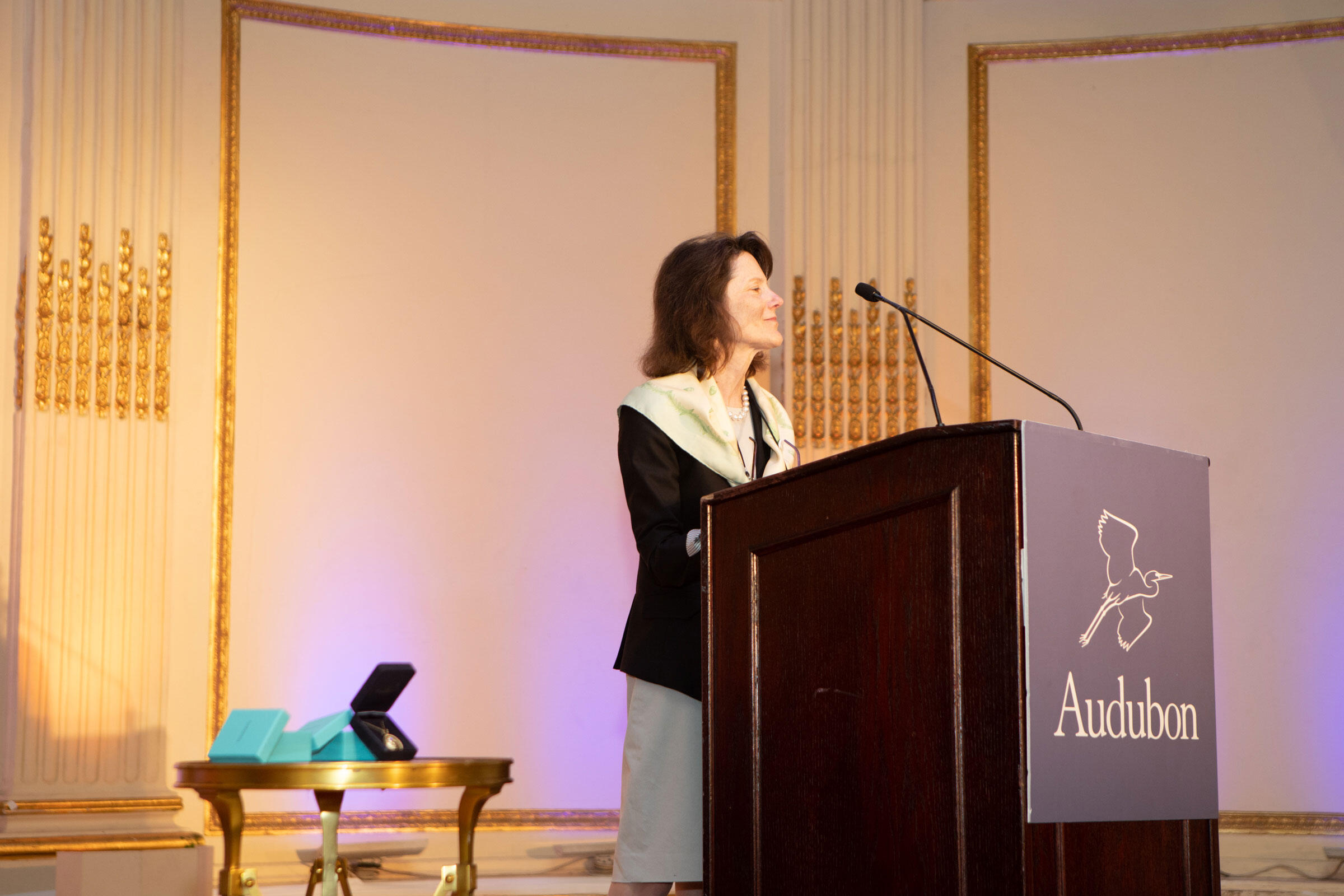 Audubon’s Annual Women in Conservation Luncheon Honors Rose H. Harvey ...