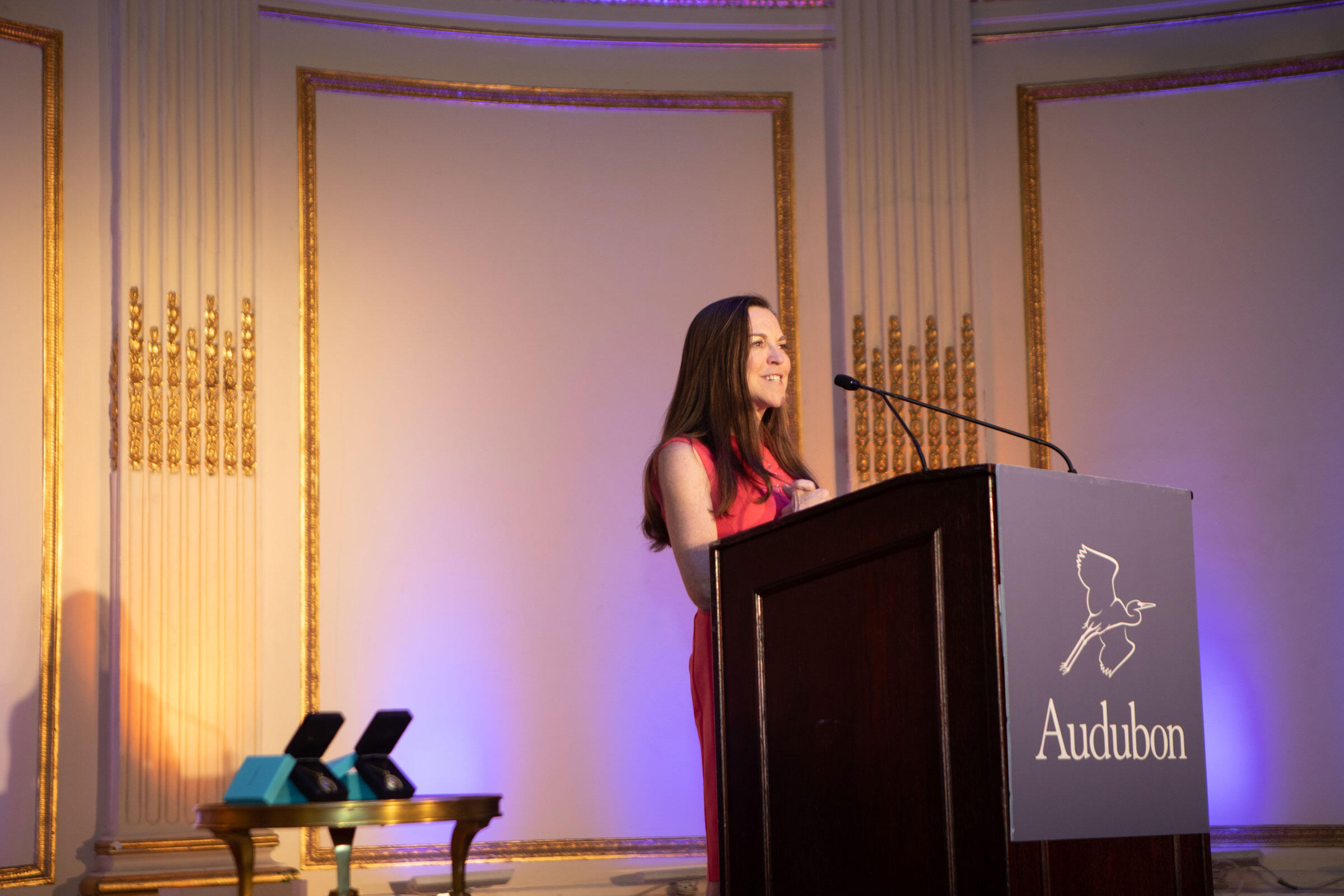 Audubon’s Annual Women in Conservation Luncheon Honors Rose H. Harvey ...