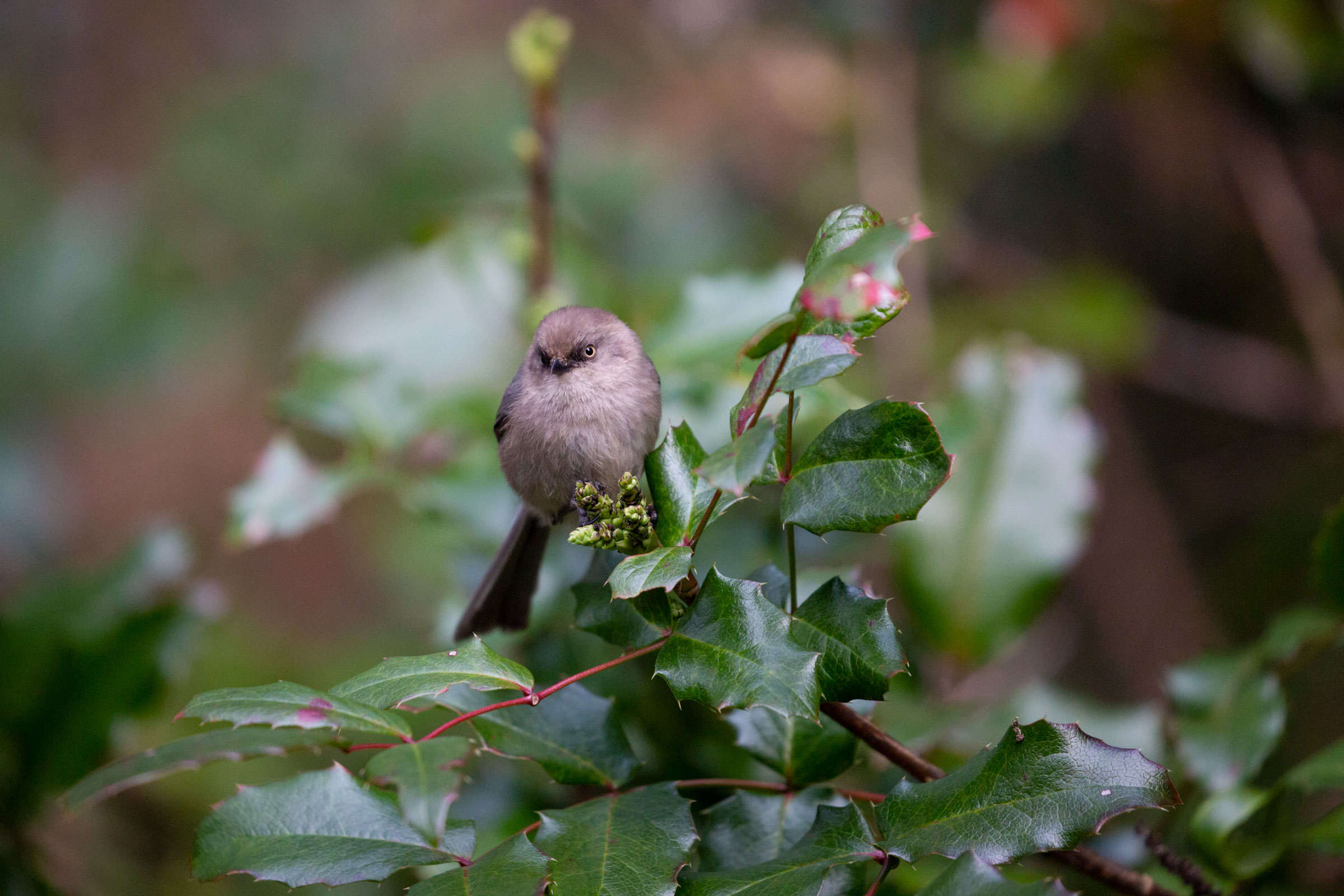 Reigning in Carbon Emissions and Advancing Justice in Washington State ...